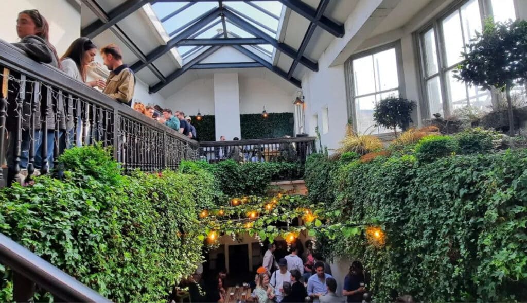 The Walrus Discover Brighton