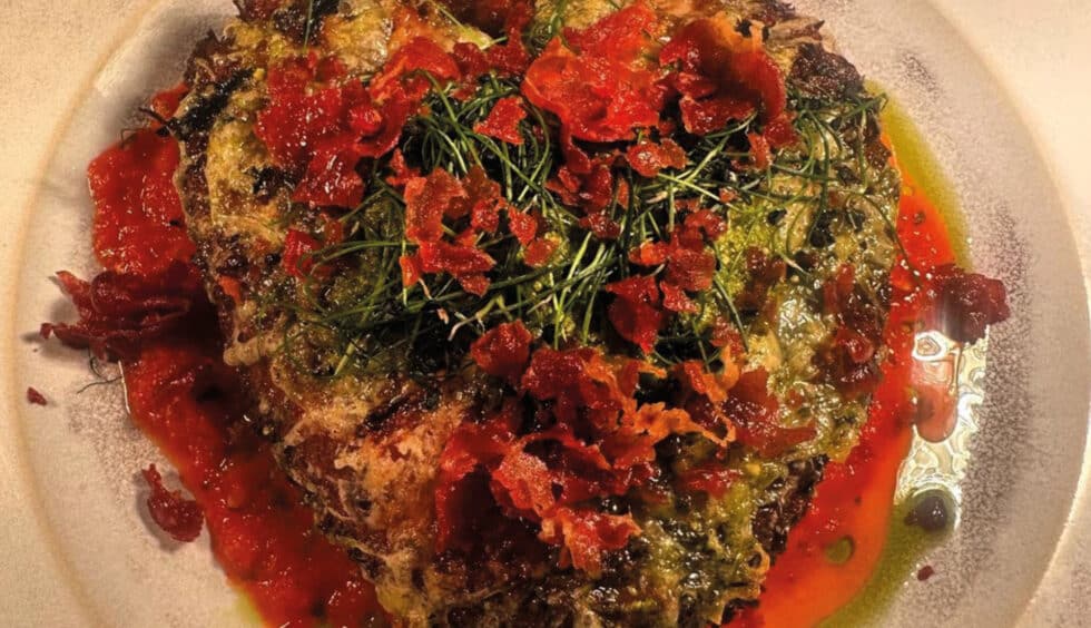 Discover Brighton Magazine | Whats on In Brighton | Lifestyle