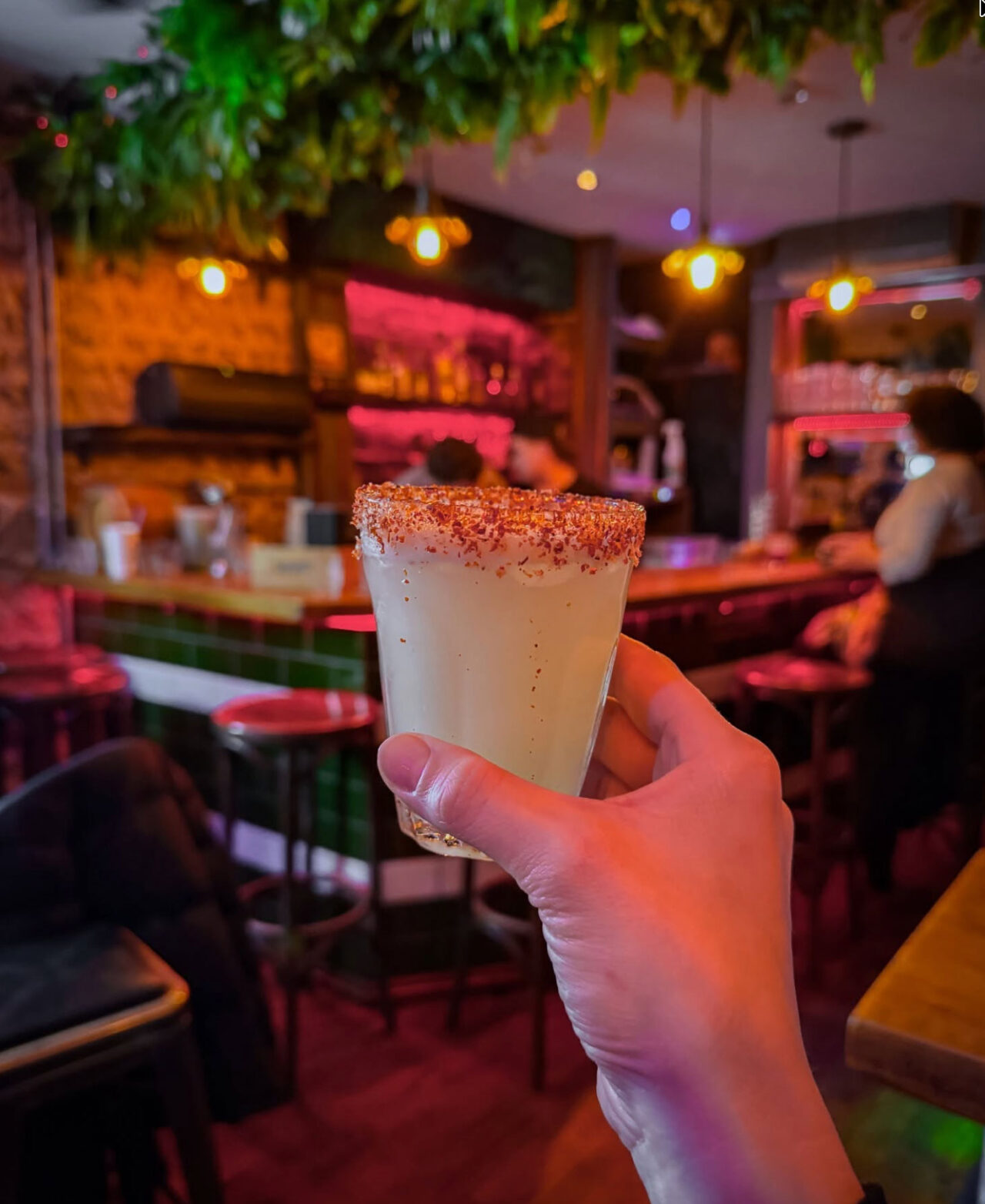 Halisco Too: Restaurant Review - Discover Brighton