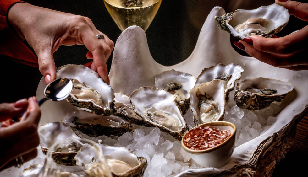 BITE Brighton Oyster Festival - Discover Brighton